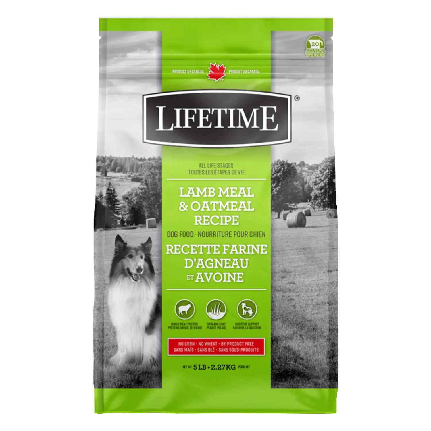 LIFETIME Lamb Meal & Oatmeal Recipe Dry Dog Food - BlueBarn.Shop