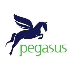 PEGASUS Cool Crunch Cubes Horse Treat, 44 lb (20 kg) - BlueBarn.Shop