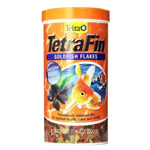 TETRA TetraFin Goldfish Food Flakes - BlueBarn.Shop